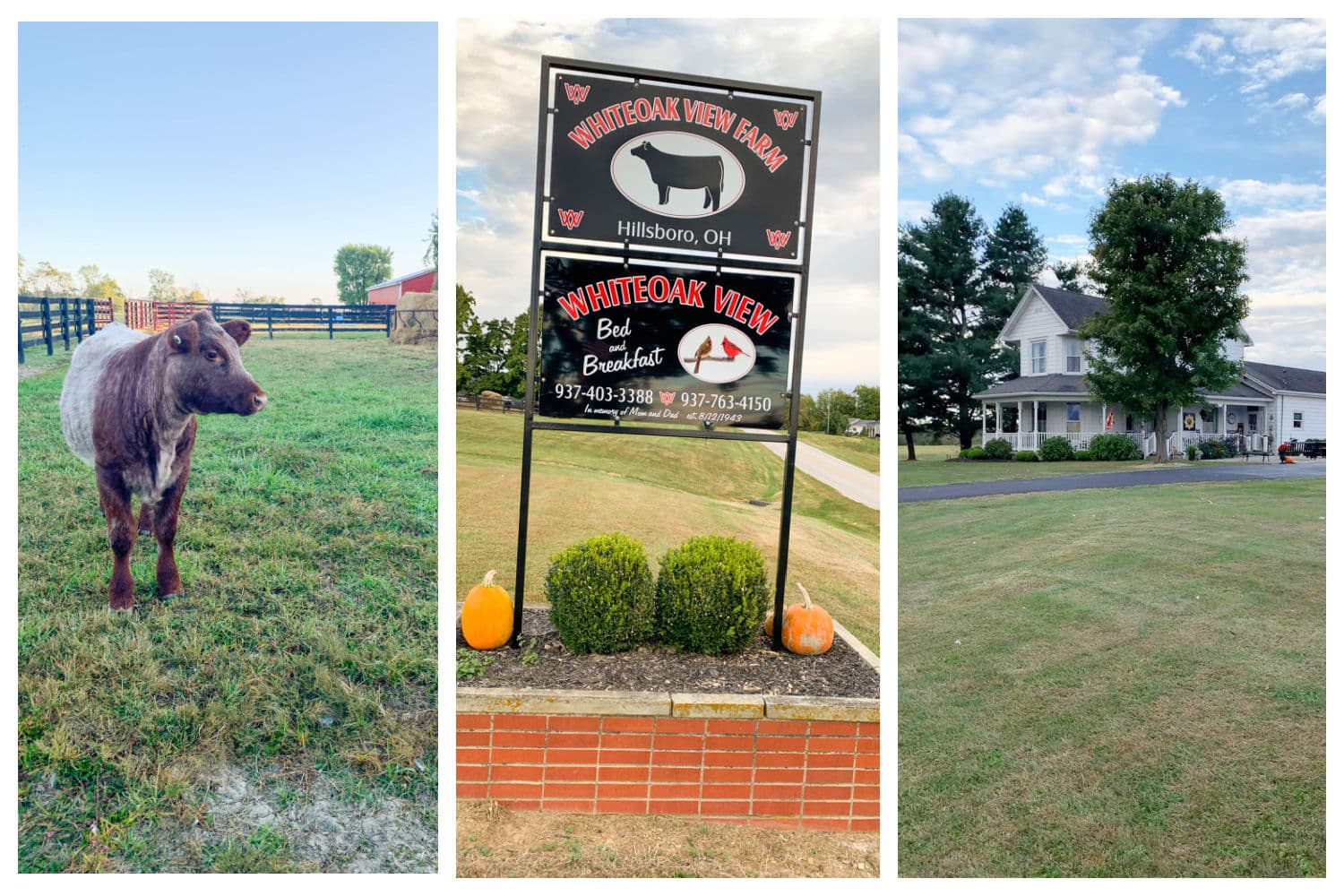 Road Trips from Cincinnati: Highland County OH - The Food Hussy