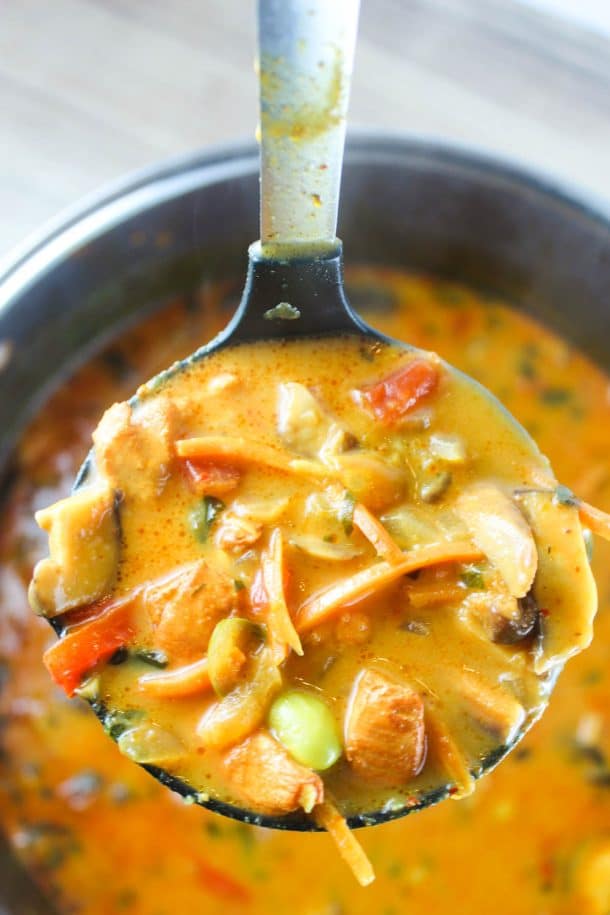 Copycat Panera Thai Chicken Soup - The Food Hussy